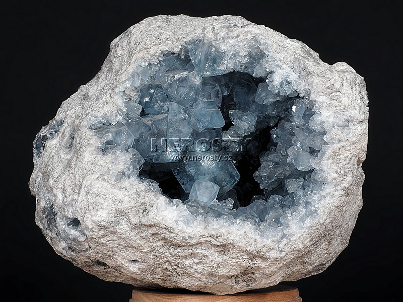 CELESTIN #4571 | Nerosty.cz