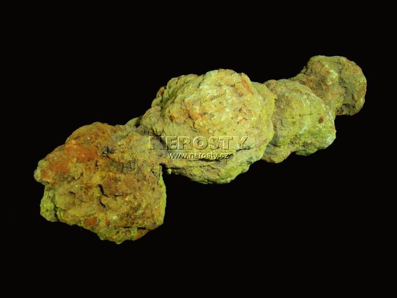 koprolit #4526 | Fosílie