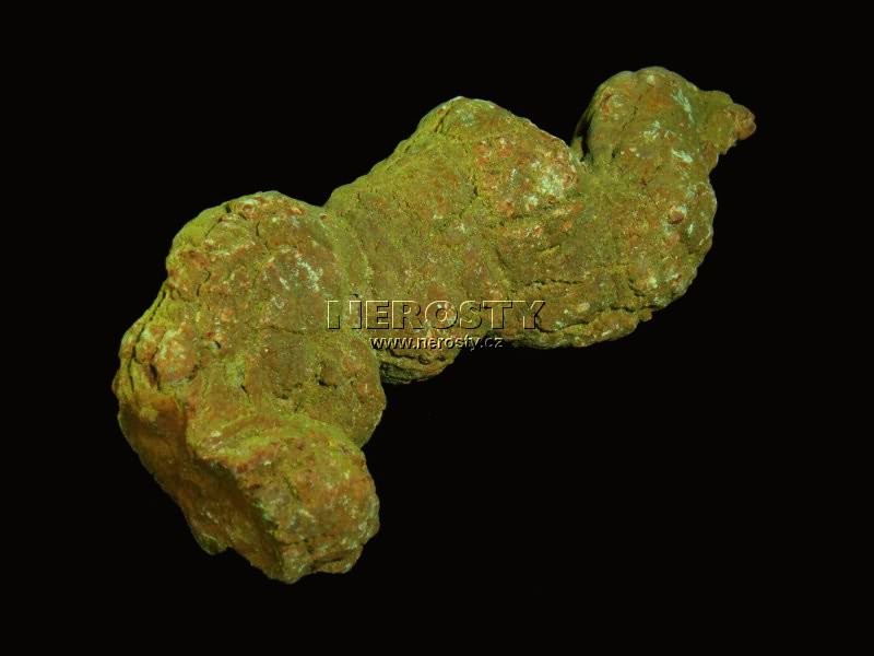 koprolit #4530 | Fosílie