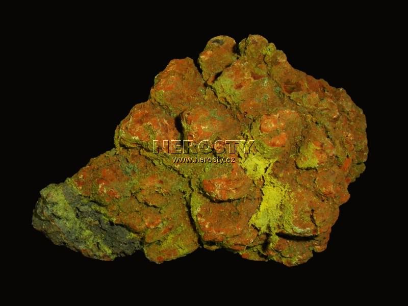 koprolit #4542 | Fosílie | Nerosty.cz