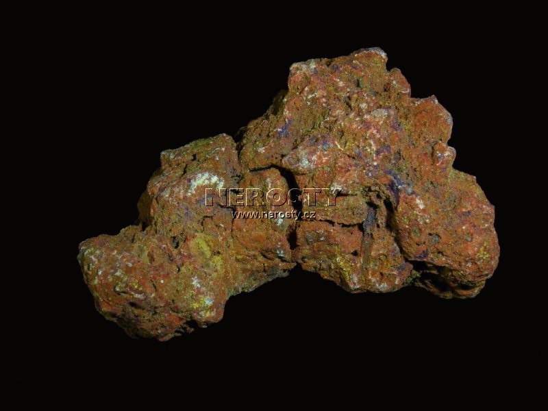 koprolit #4545 | Fosílie