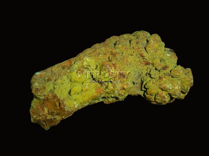 koprolit #4547 | Fosílie