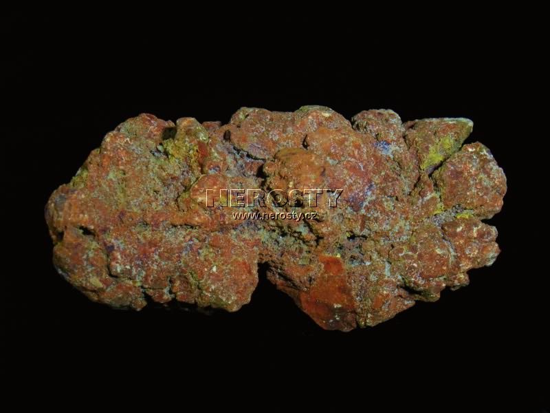 koprolit #4548 | Fosílie