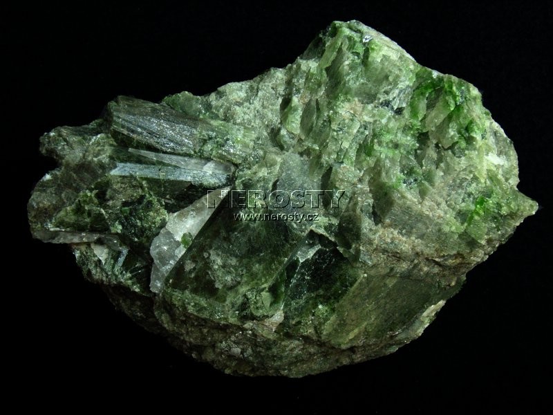 DIOPSID #82 | Nerosty.cz