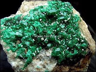 DIOPTAS | Altyn-Tyube | sbírkové nerosty